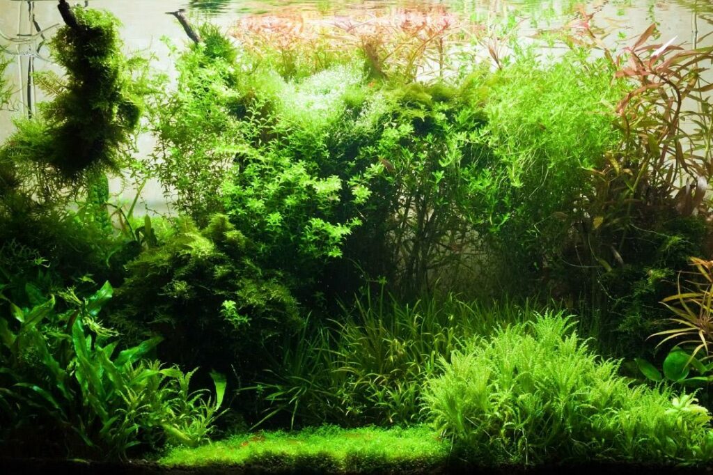 Jak urządzić akwarium - 6 modnych aranżacji